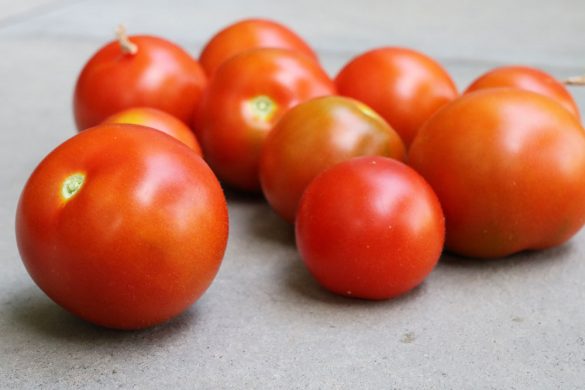 Buschtomaten richtig pflegen - Sorten, Anzucht und Pflege - Tomaten.de